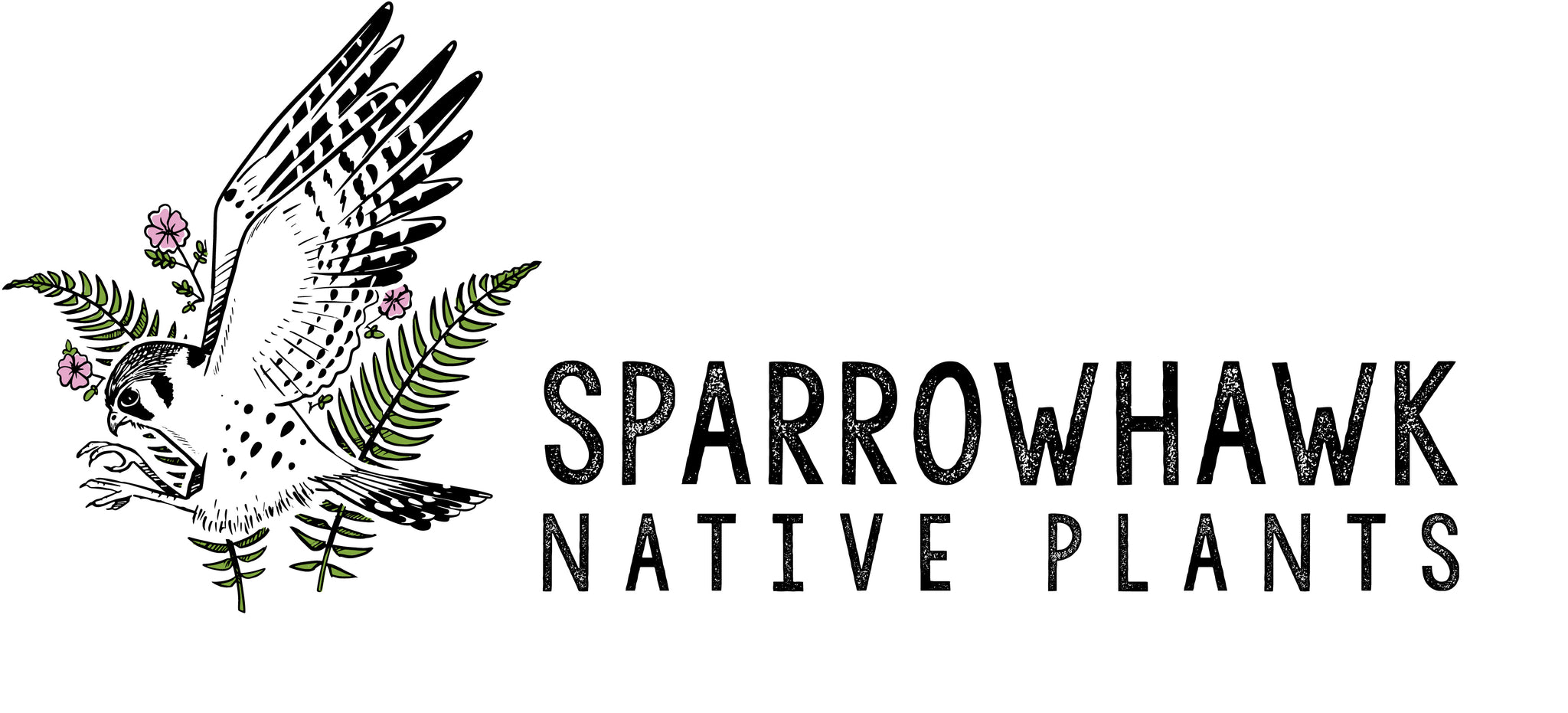 Collections – Sparrowhawk Native Plants
